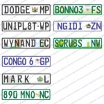 Personalized Number Plates - Africa Plates